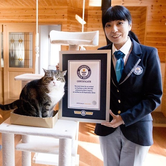 Daiso | Party Supplies | Motimaru Mochimaru Famous Japanese Cat Zipper ...